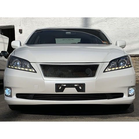Lexus ES 350 2010-2012 Mesh Grille