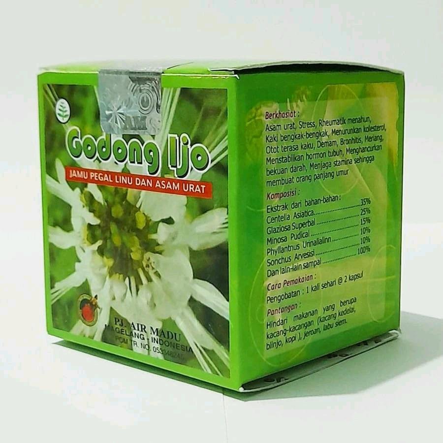 10 Boxes Yaostein BS Capsules Medicine for Gout, GOUT and Aches and Pains