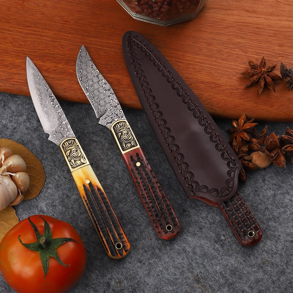 Hunting Knife 3 Inch Fixed Blade Home Outdoor BBQ Tool