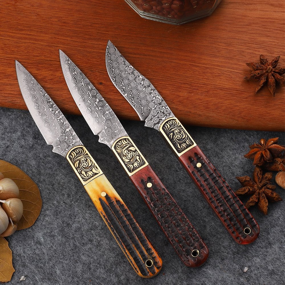 Hunting Knife 3 Inch Fixed Blade Home Outdoor BBQ Tool