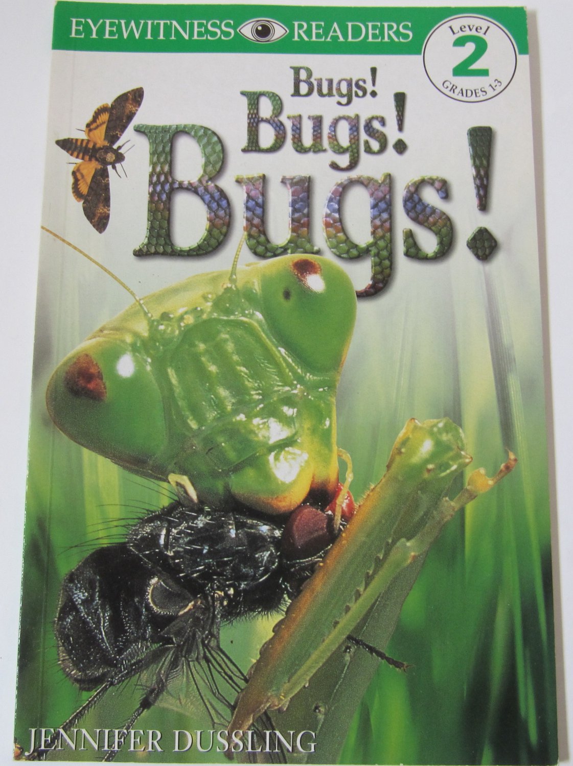 Bugs! Bugs! Bugs! DK Eyewitness Readers Level 2 Paperback Children's Book by Jennifer Dussling