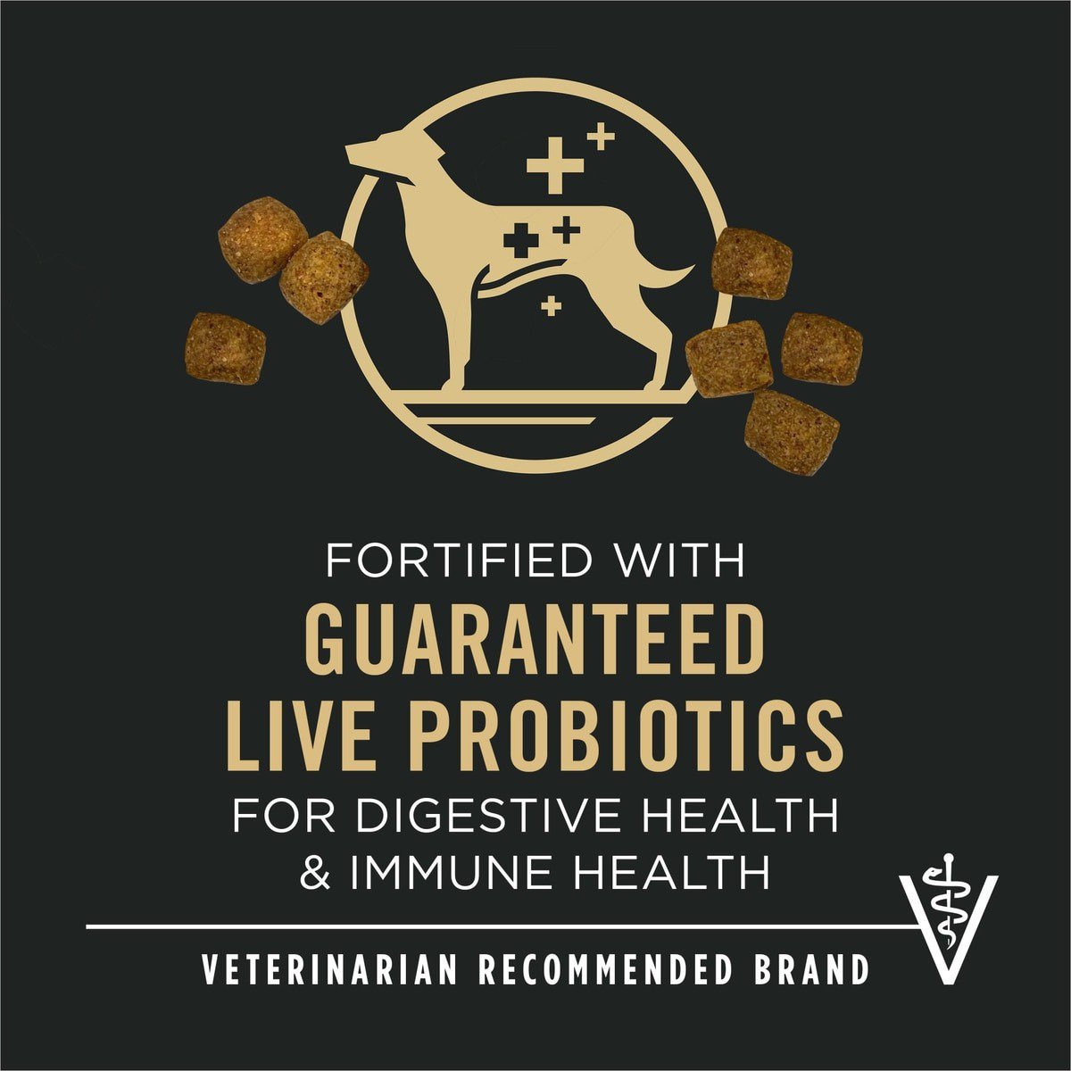 Purina Pro Plan Bright Mind Adult 7+ Chicken & Rice Formula Dry Dog ...