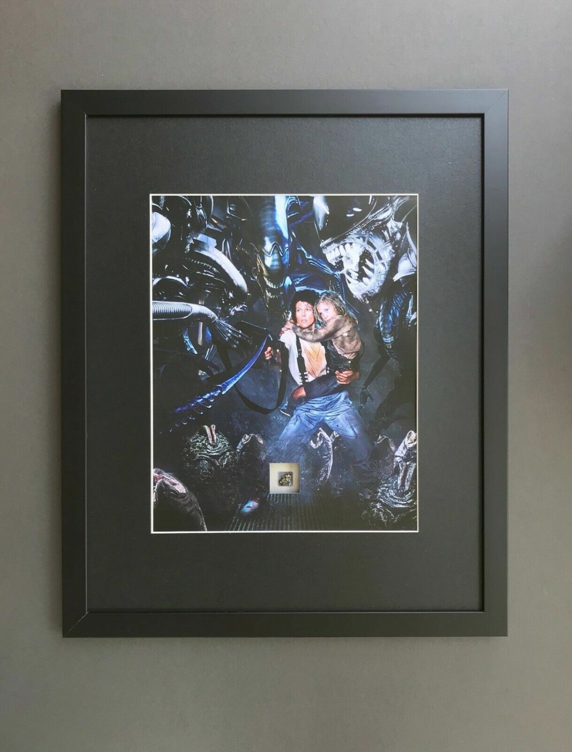Extremely Rare! Aliens Original Screen Used Piece of Alien Nest Hive ...