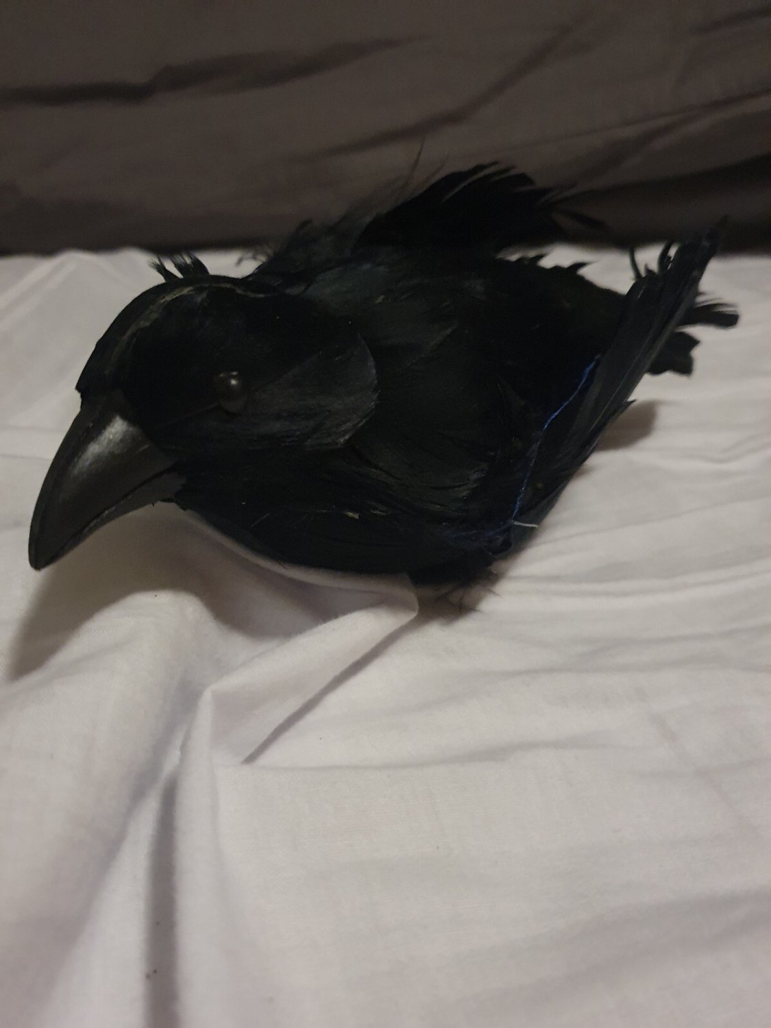 Extremely Rare! Sons of Anarchy Original Screen Used Gemma Dead Crow ...