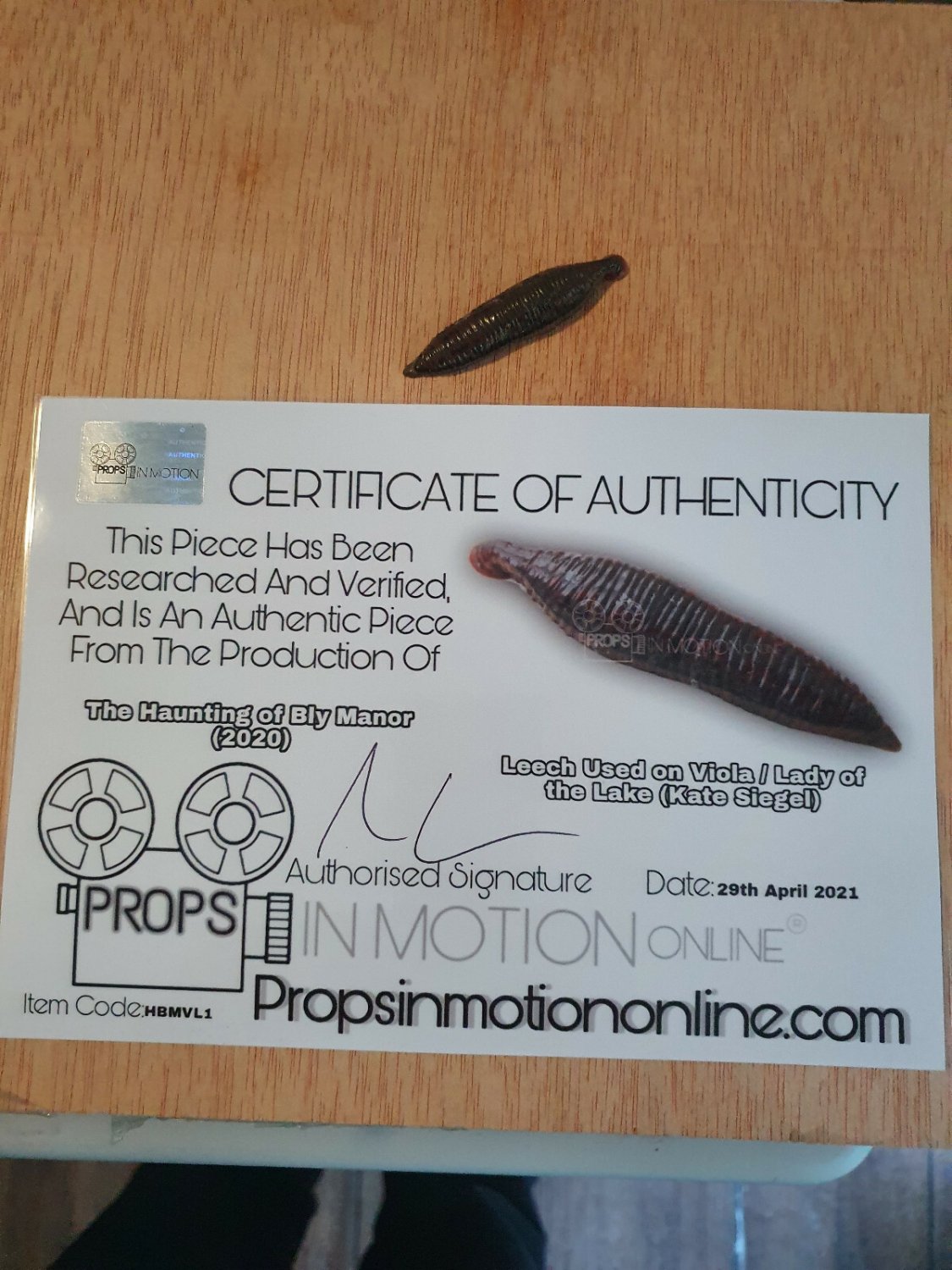 Extremely Rare! The Haunting of Bly Manor Original Screen Used Leech ...
