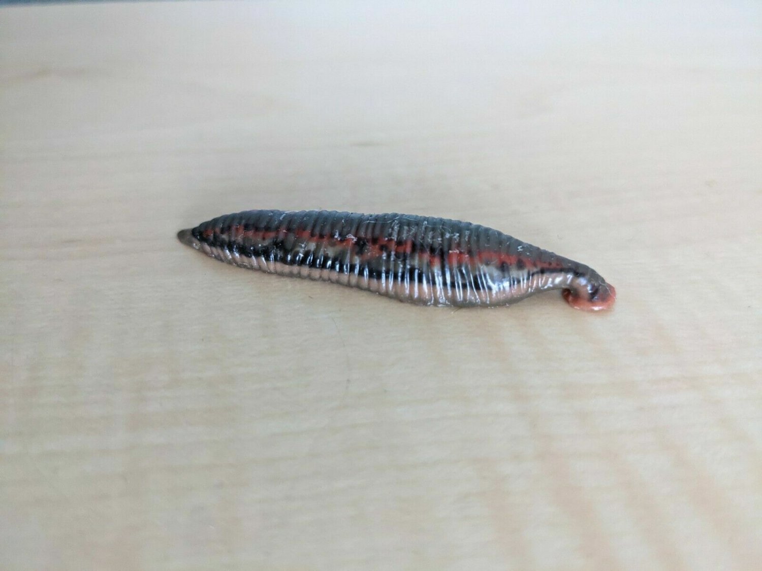 Extremely Rare! The Haunting of Bly Manor Original Screen Used Leech ...
