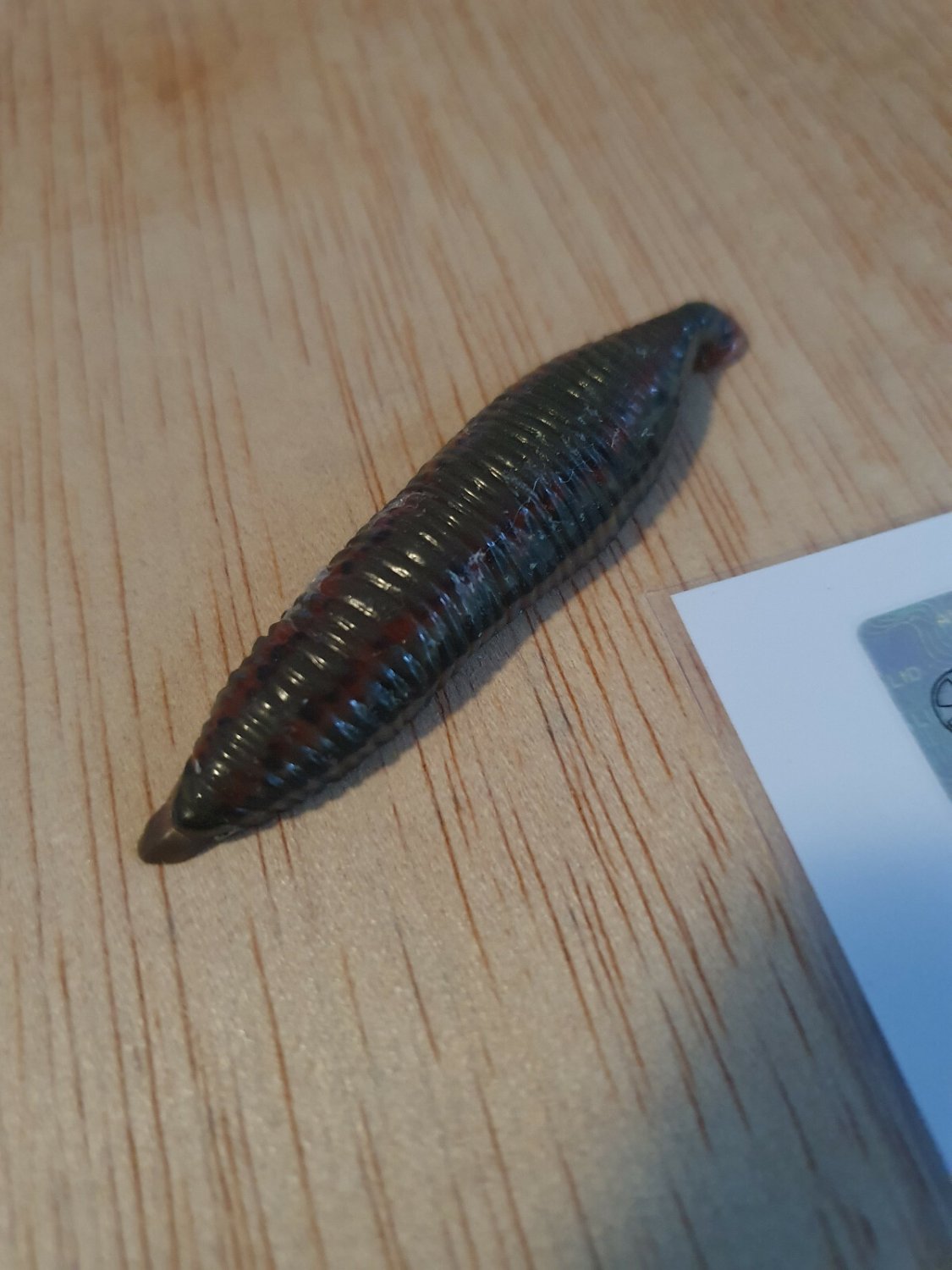 Extremely Rare! The Haunting of Bly Manor Original Screen Used Leech ...