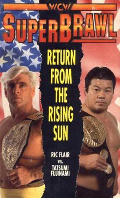 Wcw superbrawl/wcw the great american bash 1991/wcw halloween havoc ...