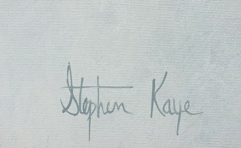 Signed Stephen Kaye - Soaring Bird in Flight Original Art Large Framed ...