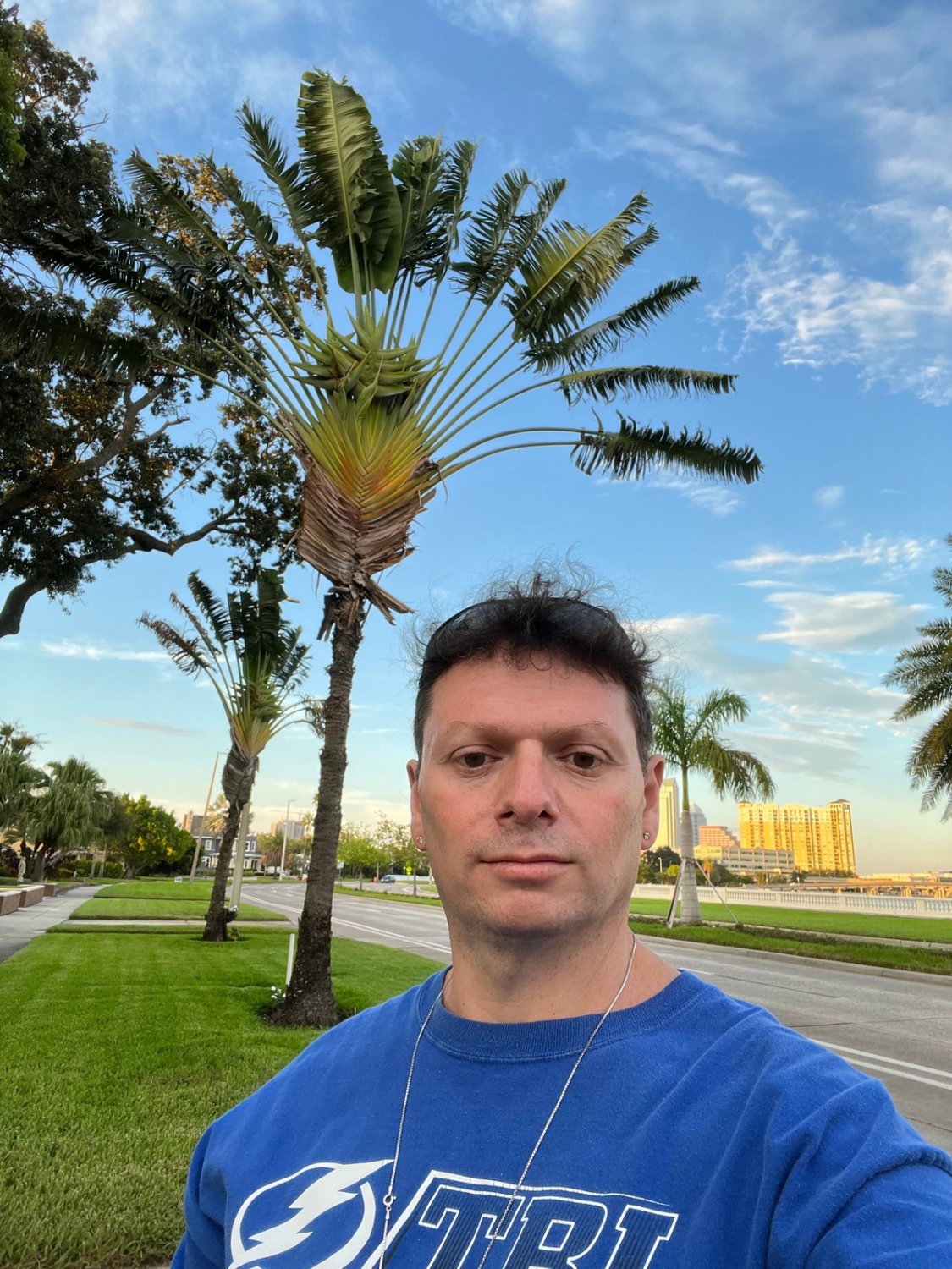 Traveler's Tree Ravenala madagascariensis 10 Seeds