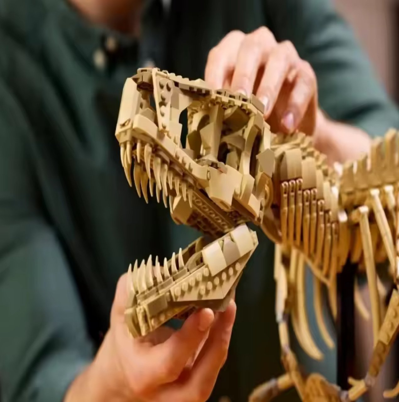 Large Dinosaur Skeleton Building Block Model 3145 Pieces Educational ...