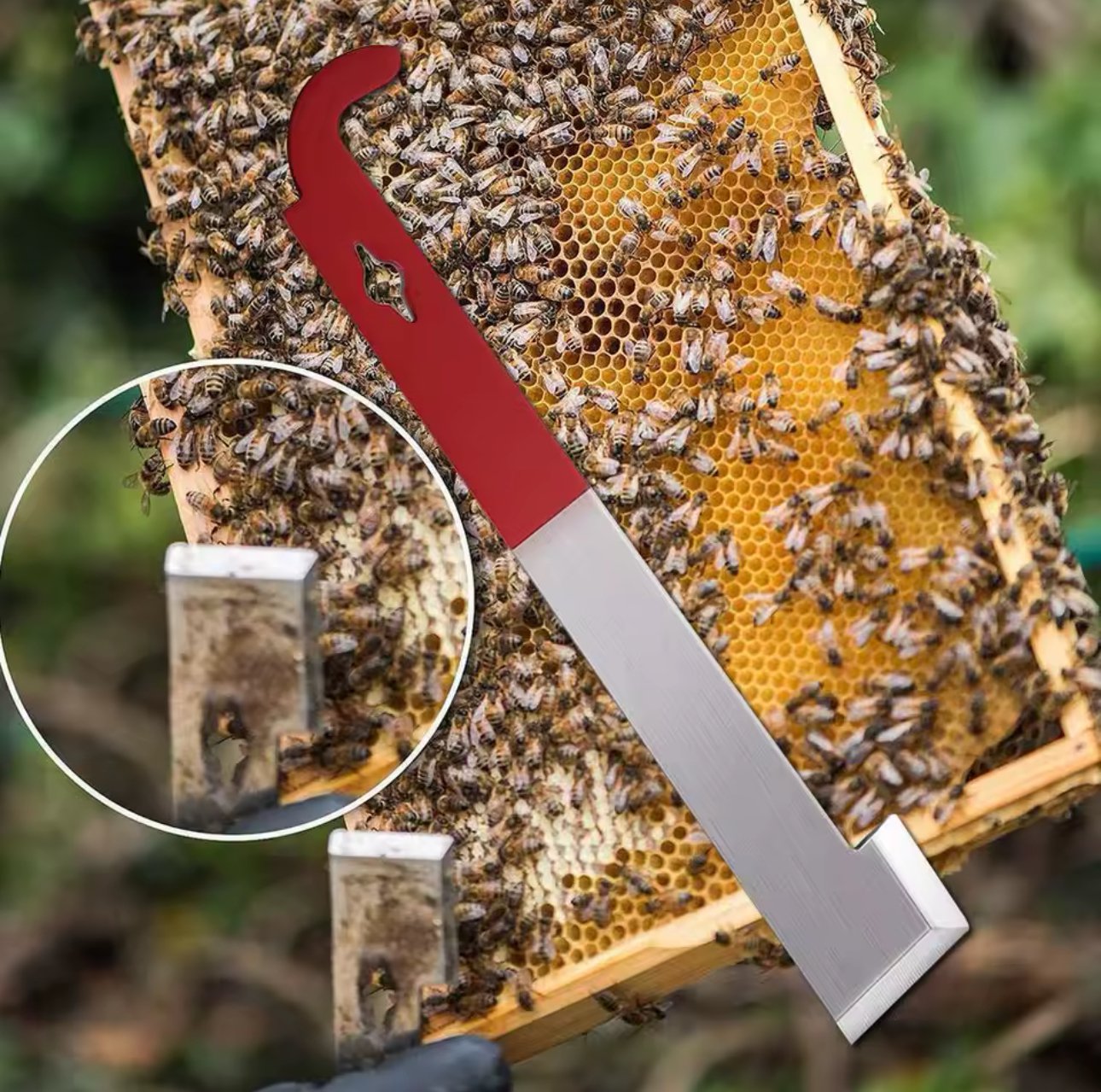 Stainless Steel Beekeeping Hive Tool, J-Type Scraper & Hook for Frame ...