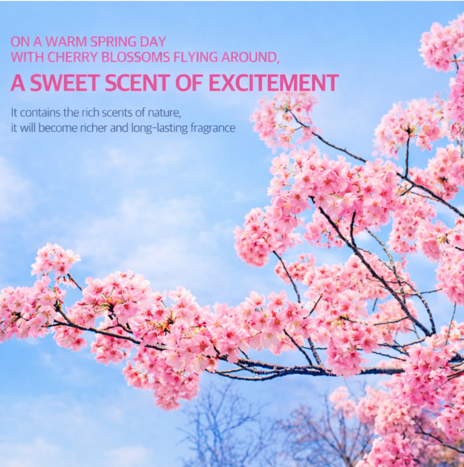 Kerasys Cherry Blossom Rinse Conditioner, 33.8 oz, NEW