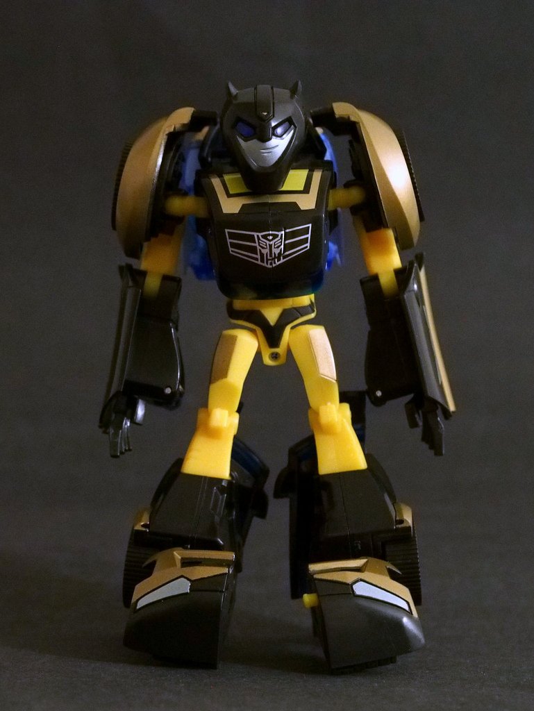 Transformers Animated Elite Guard Bumblebee Deluxe Class Hasbro Complete