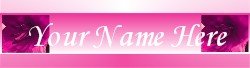 Ecrater Store Logo & HomePage Image Pink Magenta Lily Flower Dress Up ...