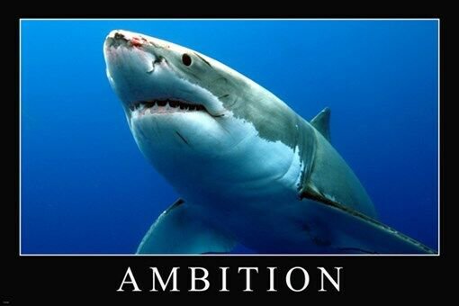 GREAT WHITE SHARK ambition motivational poster 20x30 PERSISTENCE empowering