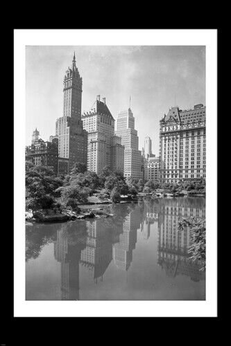 NEW YORK CITY PLAZA BUILDINGS poster classic historic CENTRAL PARK 20x30