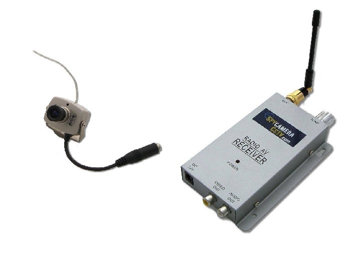 Wireless Infrared Hidden Camera and Receiver - Perfect Bird Box Camera