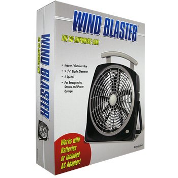 Indoor/Outdoor Portable Fan