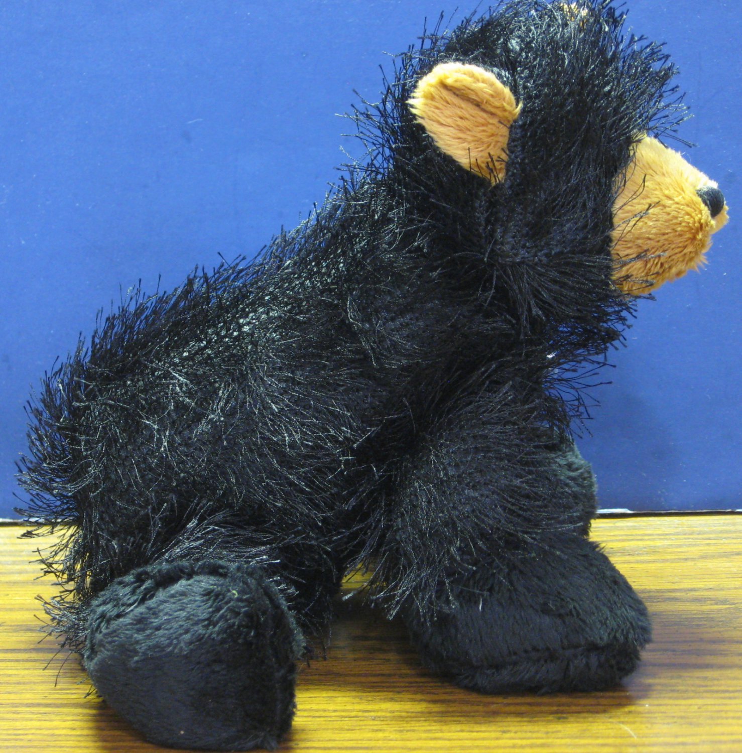 Webkinz HM004 - Plush Black Bear - Ganz - With Sealed Code