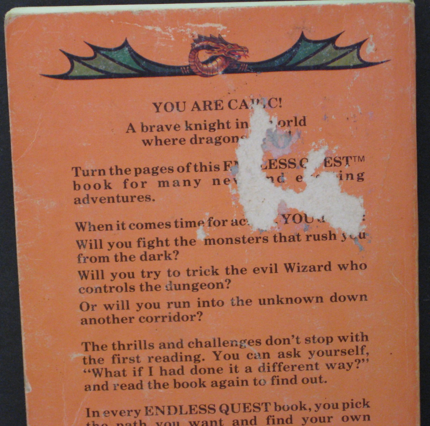 SOLD - Dungeons and Dragons Endless Quest Book 01 - Dungeon of Dread ...