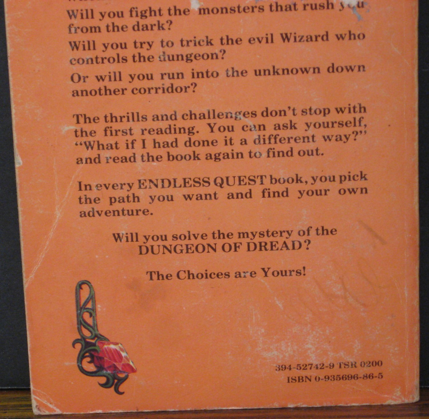 SOLD - Dungeons and Dragons Endless Quest Book 01 - Dungeon of Dread ...