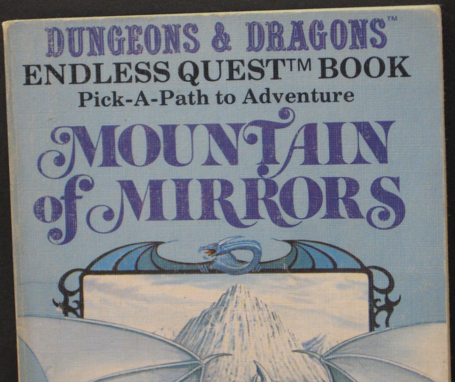 Dungeons and Dragons Endless Quest Book 02 - Mountain of Mirrors - 1982 ...