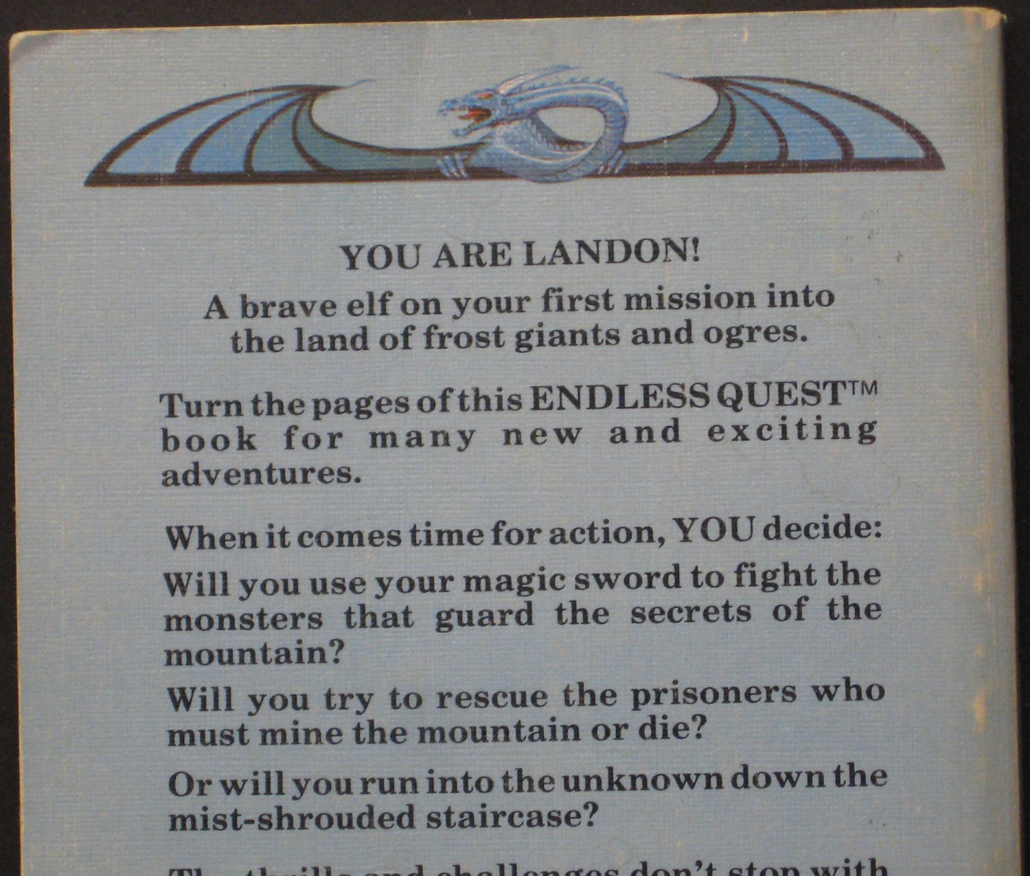 Dungeons and Dragons Endless Quest Book 02 - Mountain of Mirrors - 1982 ...