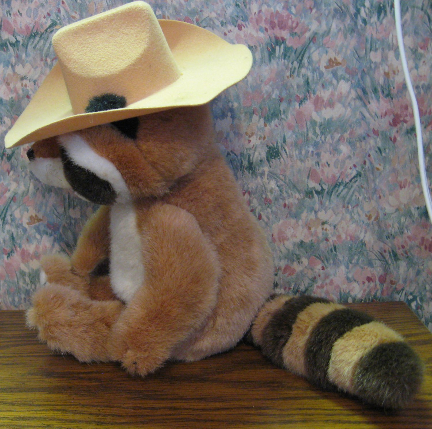 SOLD - Ranger Rick 11" Plush Raccoon National Wildlife Federation ...