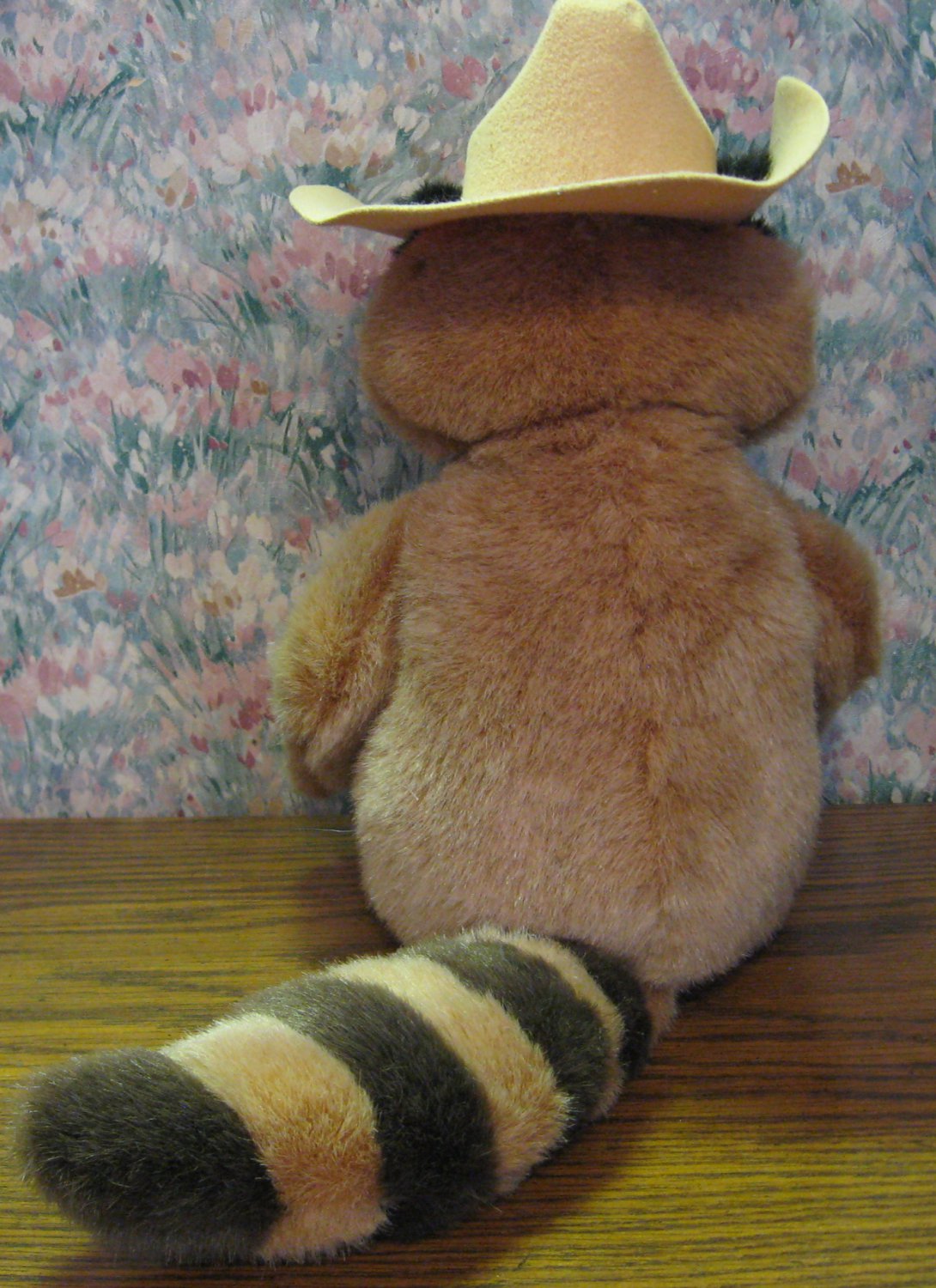SOLD - Ranger Rick 11" Plush Raccoon National Wildlife Federation ...