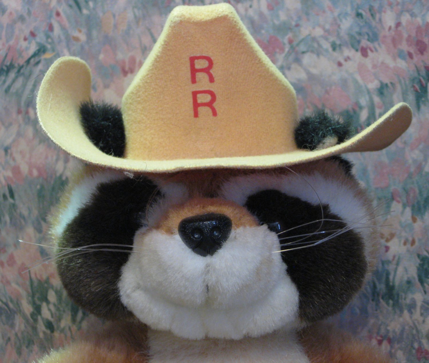 SOLD - Ranger Rick 11" Plush Raccoon National Wildlife Federation ...