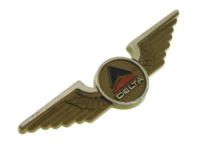 Delta Airlines Gold Wings Pin 1966 Vintage Memorabilia Flight Flying ...