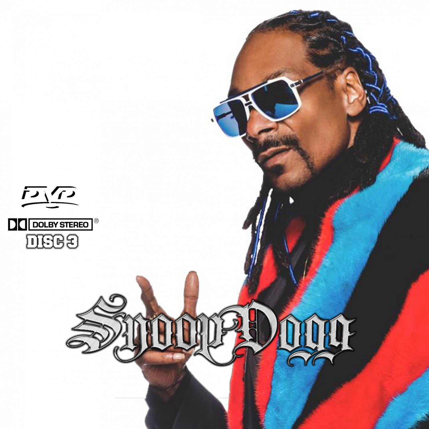 Snoop Dogg Music Videos Collection (14 DVD's) 283 Music Videos