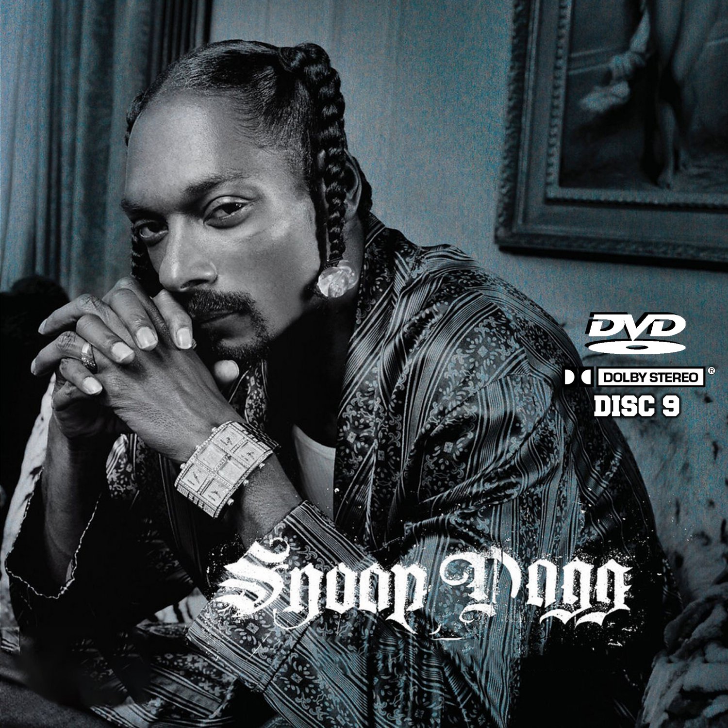 Snoop Dogg Music Videos Collection (14 DVD's) 283 Music Videos