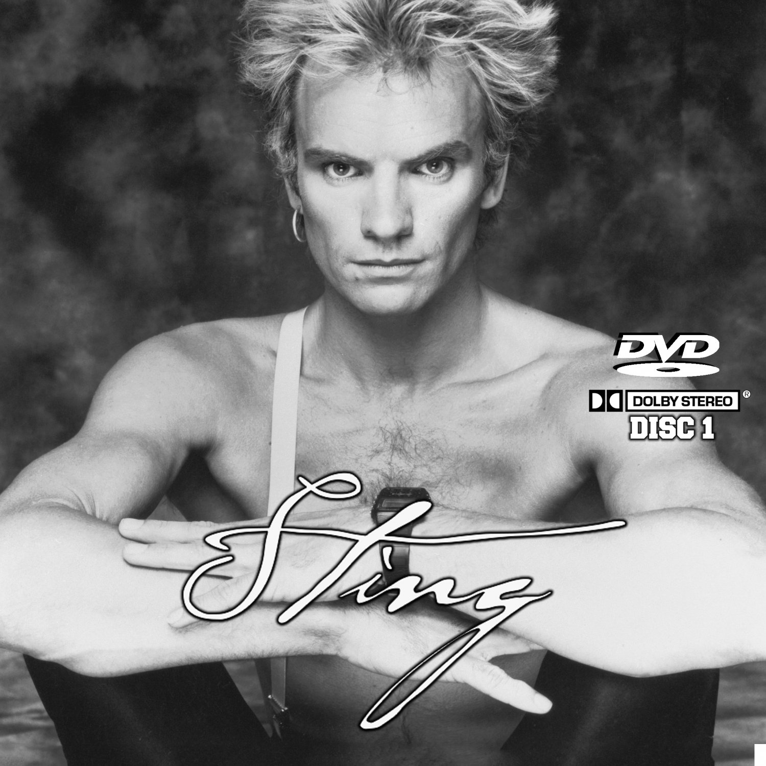 Sting Music Videos Collection (3 DVD's) 58 Music Videos