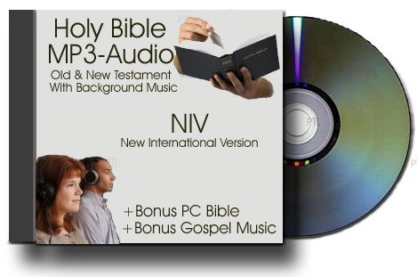 MP3 NIV Audio Bible [New and Old Testament]