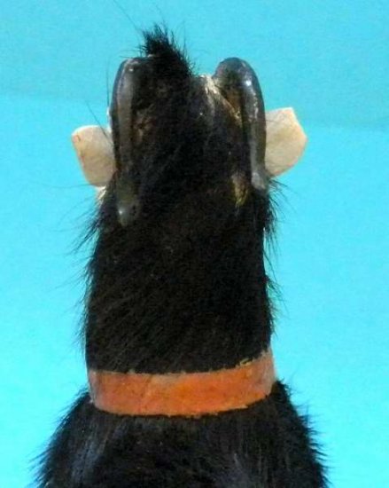 Antique Putz German Sheep Ram Real Black Fur Hide Horns Wood Stick Legs ...