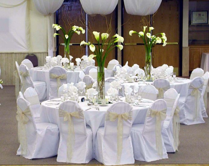 White Polyester Chair Covers