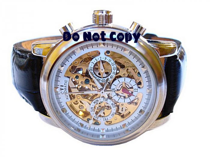 NEW Mens CTI 21 Jewels Swiss Automatic 18K Skeleton Leather Watch