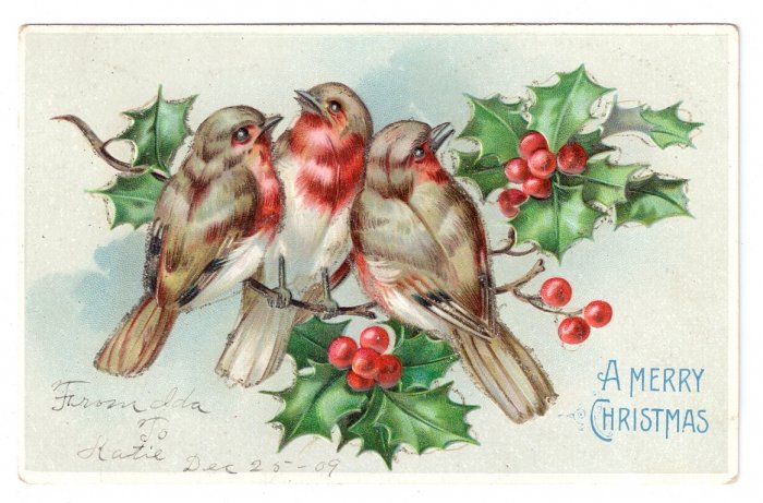 Birds Holly Finches Embossed Glitter Vintage Christmas Postcard