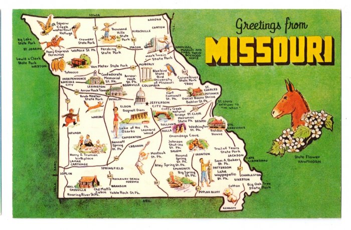Greetings from Missouri Map Postcard MO Dexter Press Chrome