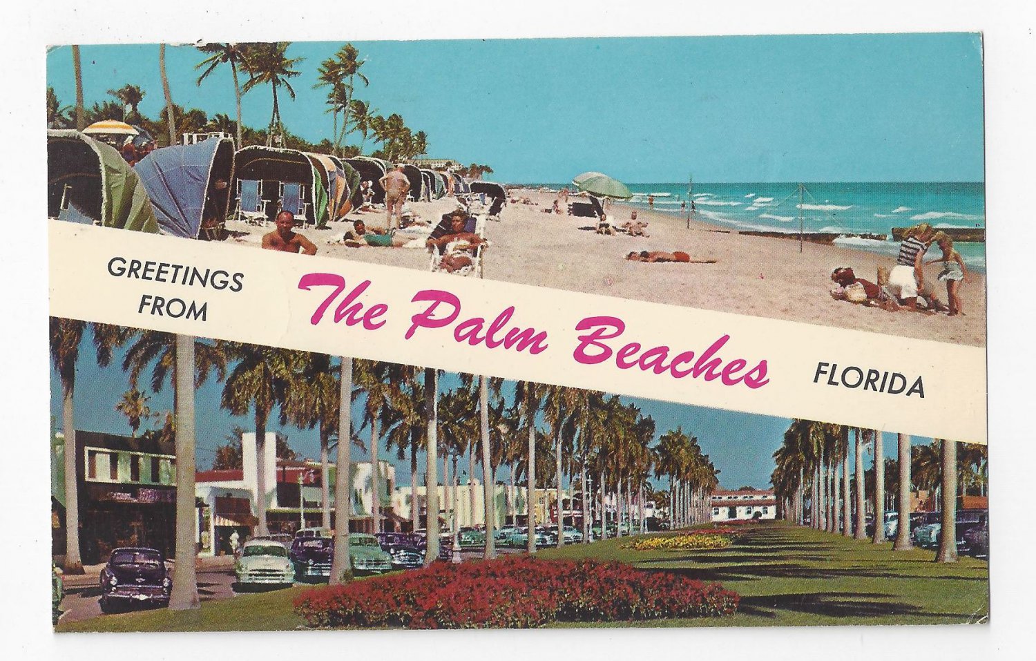 FL Palm Beach Greetings Vintage 1970 Florida Postcard
