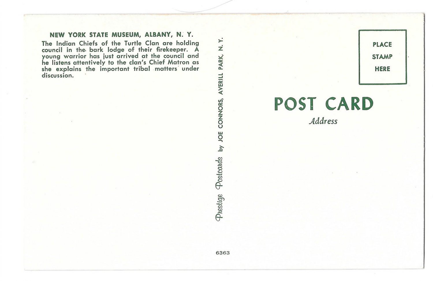 Turtle Clan Native American Indian Exhibit Vintage New York Museum Postcard