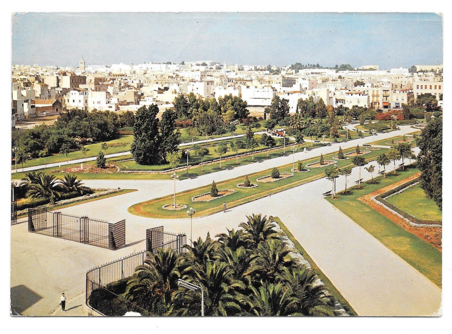 Tunisia Tunis Park Garden Jardin Habib Thameur 1965 Postcard 4X6