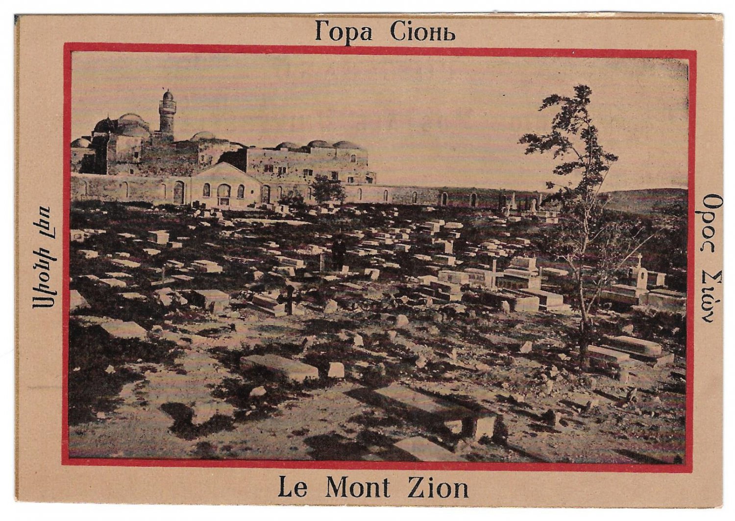 Mount Zion Israel Jerusalem Palestine Vintage Postcard