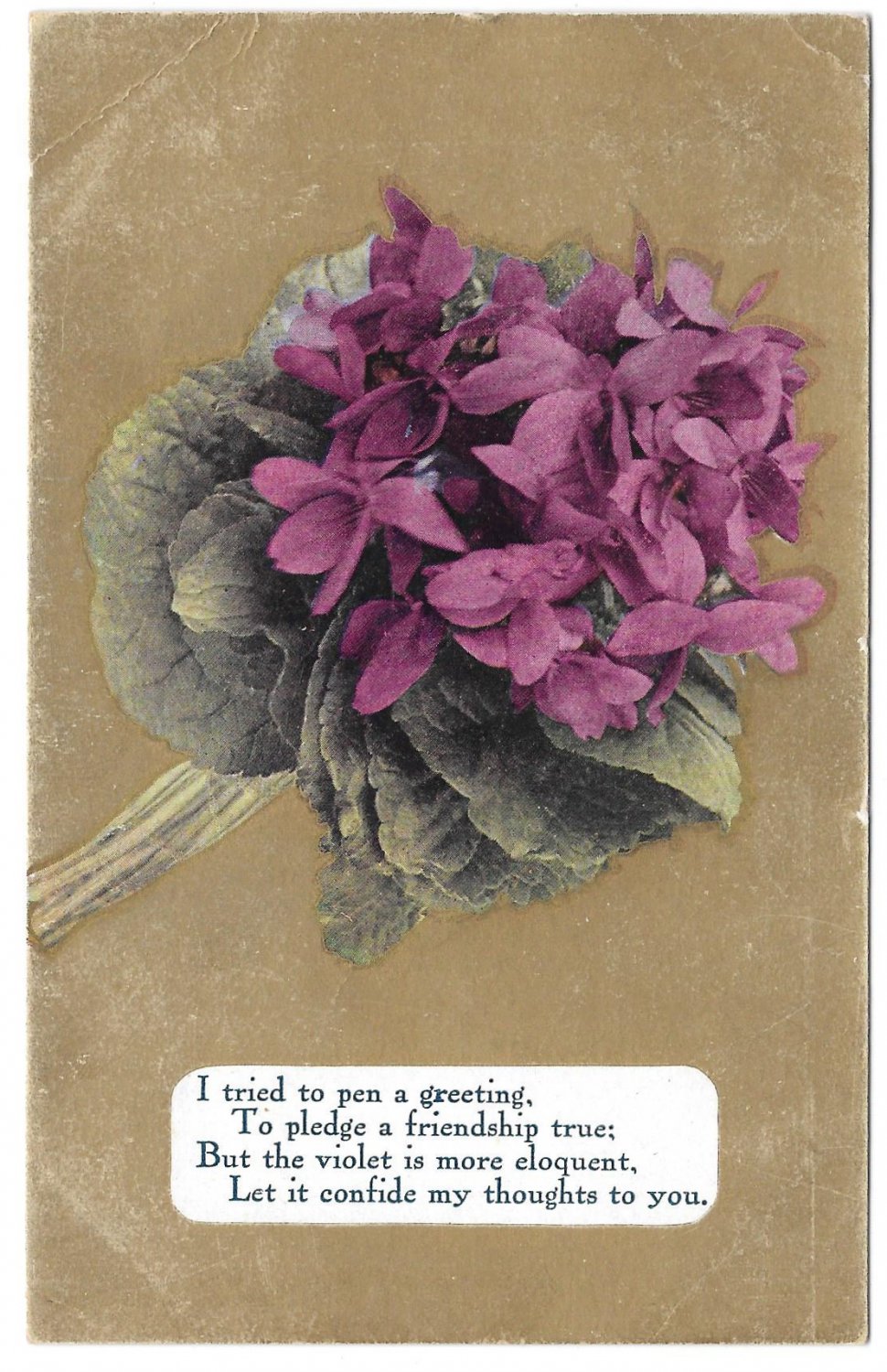 Motto Friendship Poem Postcard Flowers Violets on Gold Background