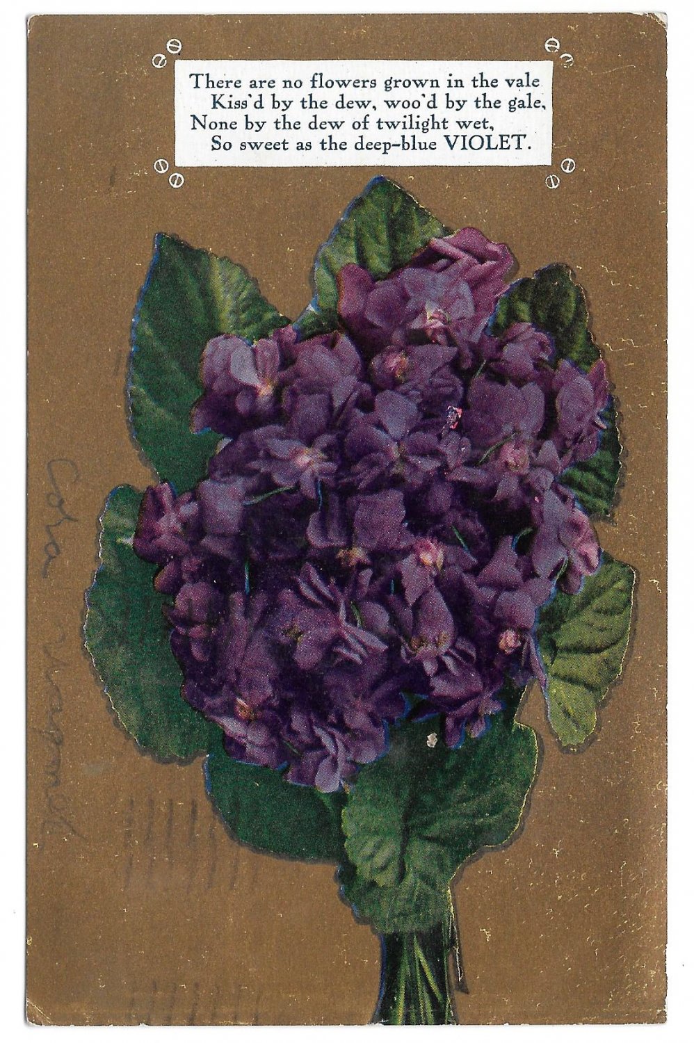 Motto Poem Vintage 1910 Postcard Flowers Deep Blue Violets on Gold ...