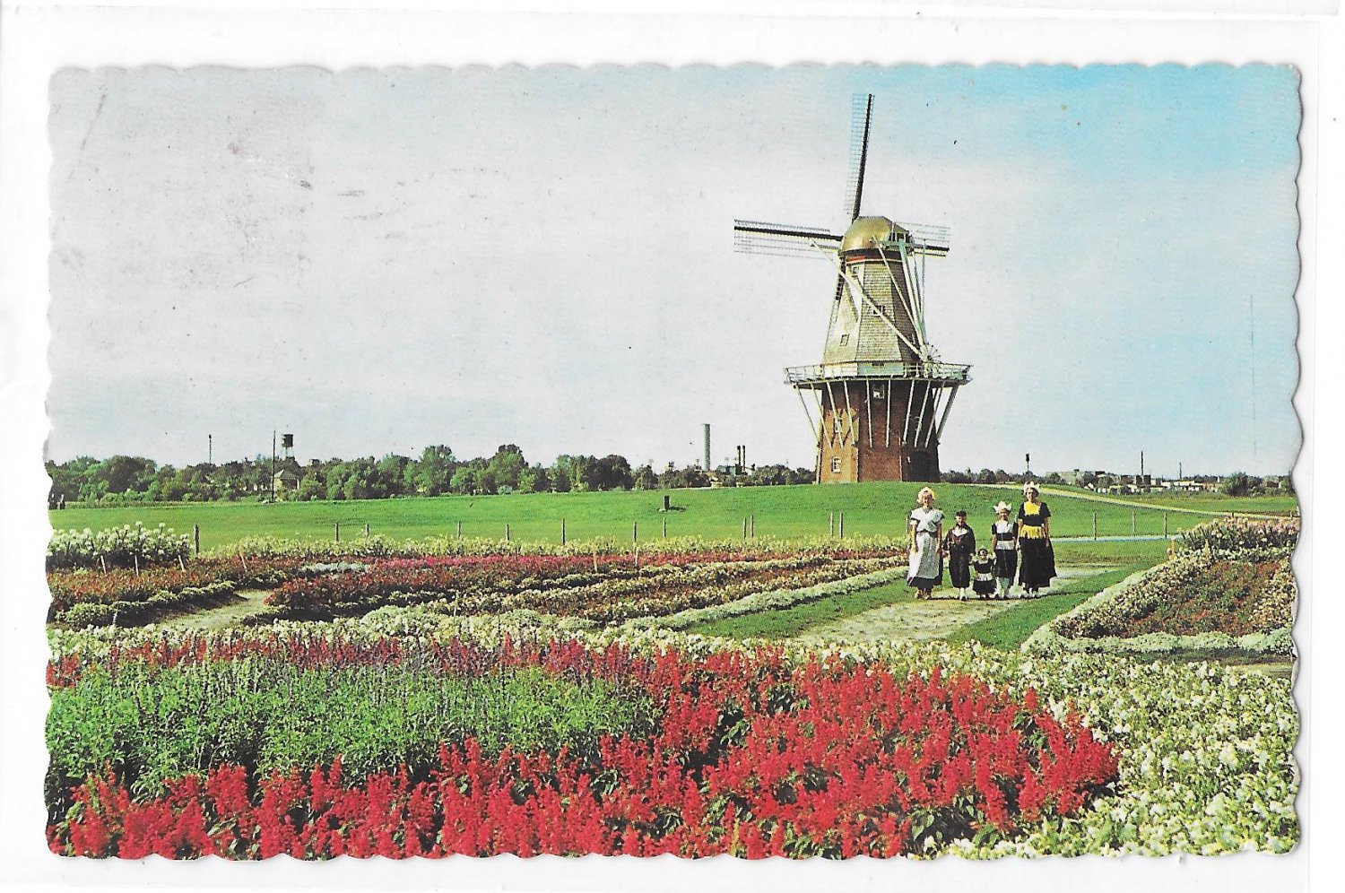 Holland Michigan Island Gardens De Zwaan Original Dutch Windmill Postcard