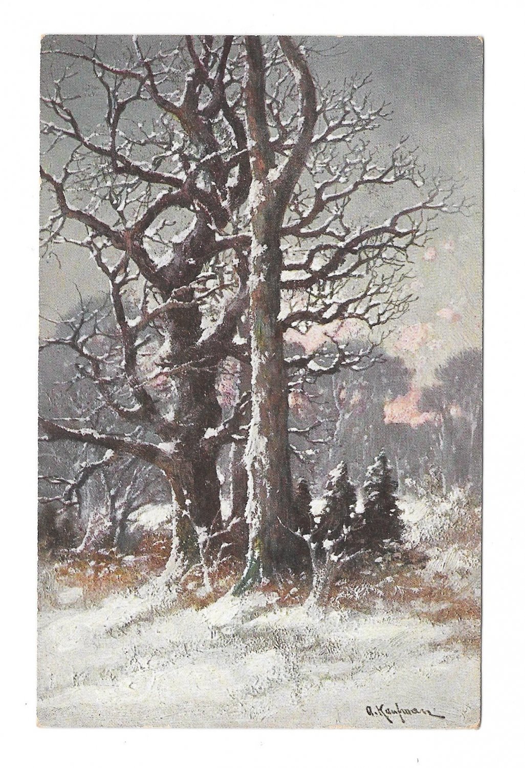 Artist Signed Adolf Kaufmann Austrian Painter Trees Winter Landscape ...