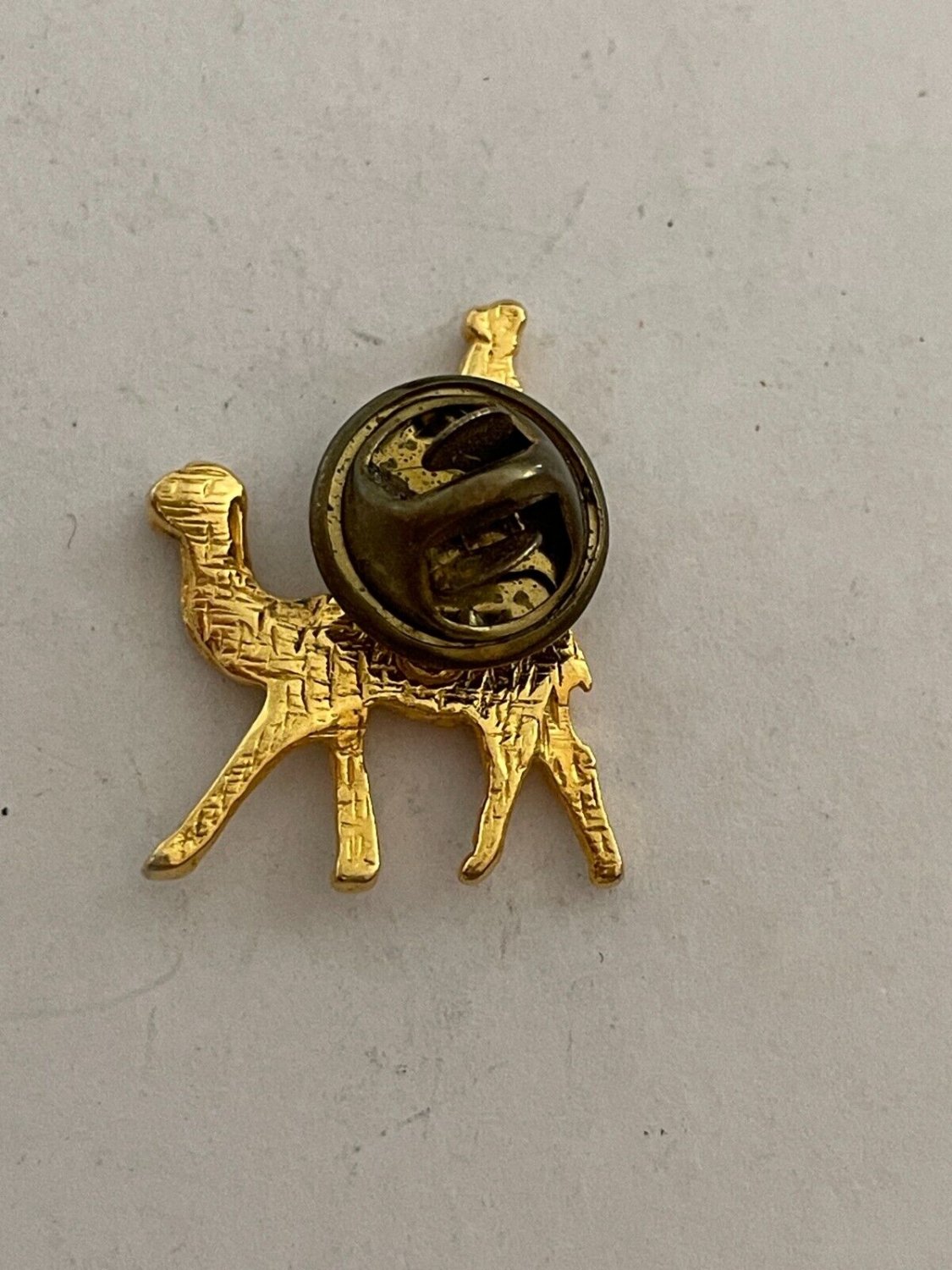 Man Riding A Camel Pin